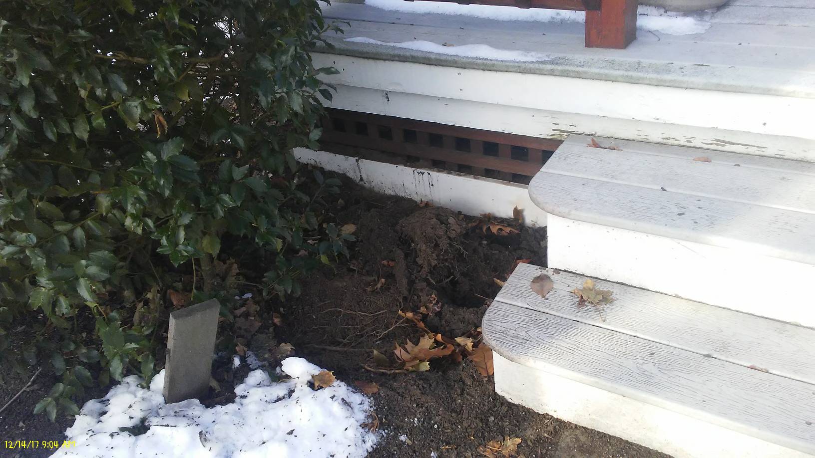 Wildlife Control Work | Critter Calls | Critter Control Boston