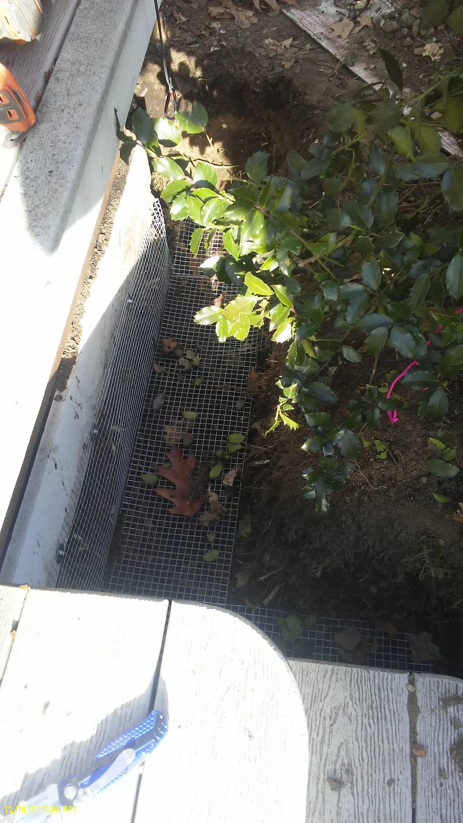 Wildlife Control Work | Critter Calls | Critter Control Boston