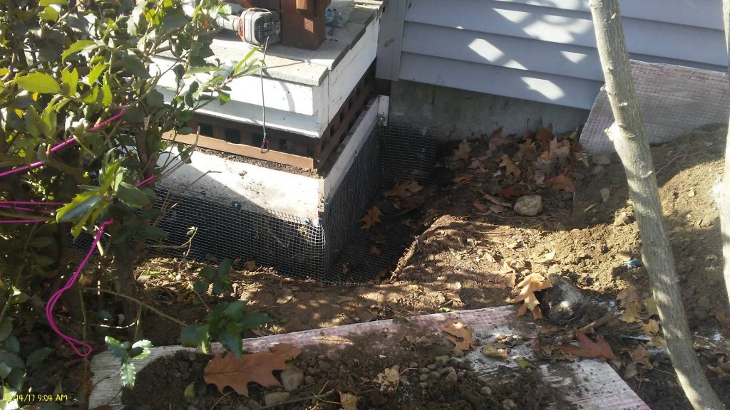 Wildlife Control Work | Critter Calls | Critter Control Boston