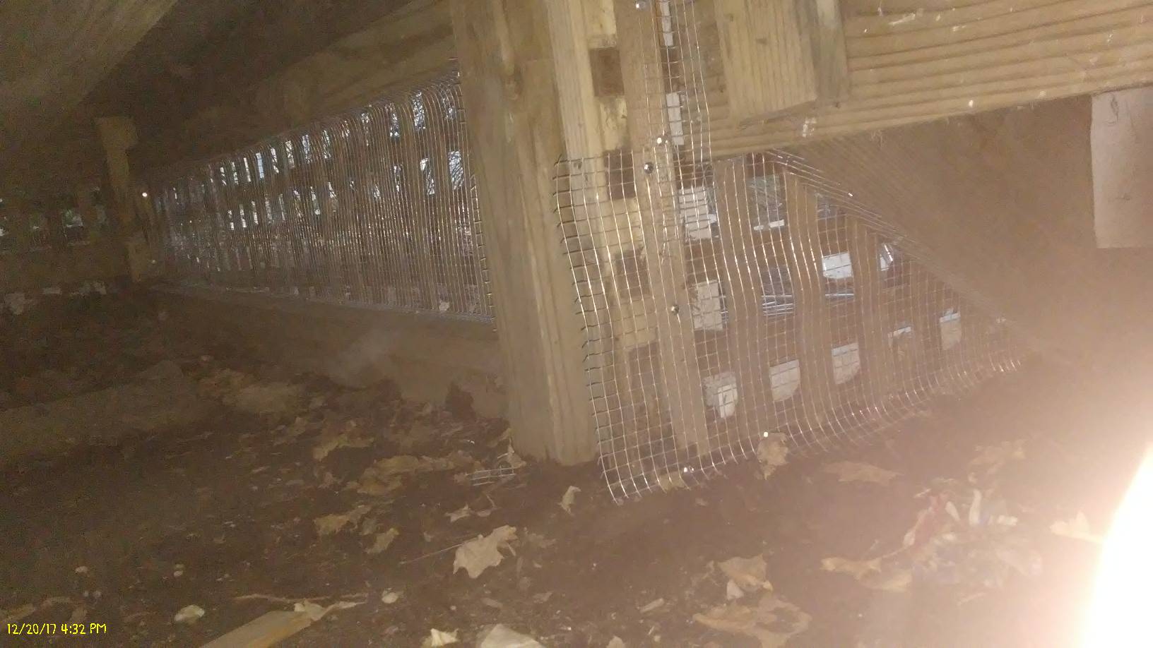 Wildlife Control Work | Critter Calls | Critter Control Boston