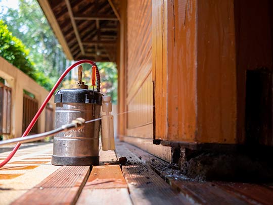 What Are Exclusion Services? | Critter Control Boston