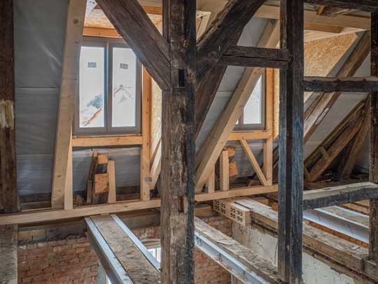 Wildlife in Attics and Crawl Spaces: Detecting and Removing Nests ...